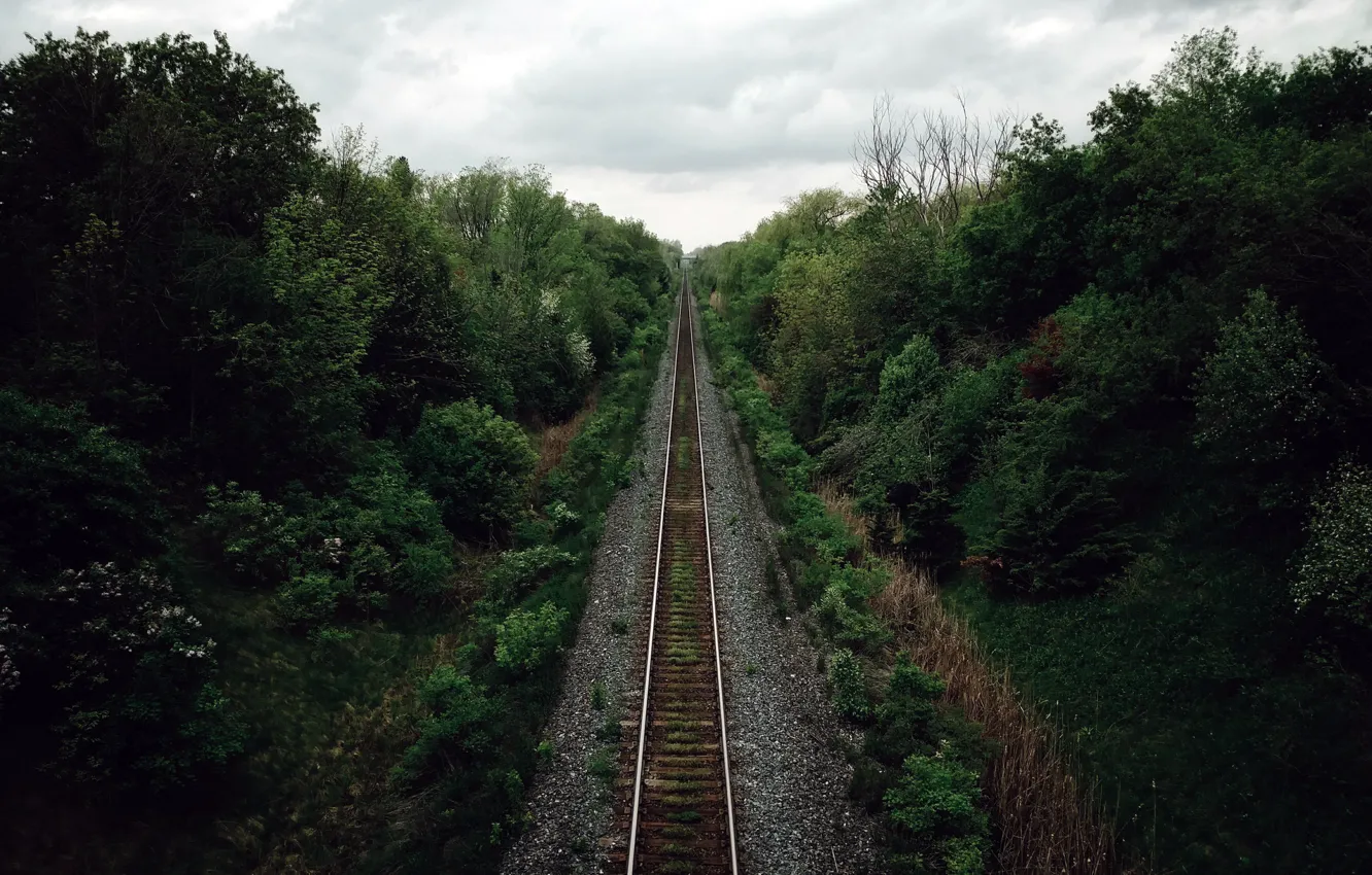 Wallpaper forest, nature, railroad for mobile and desktop, section ...