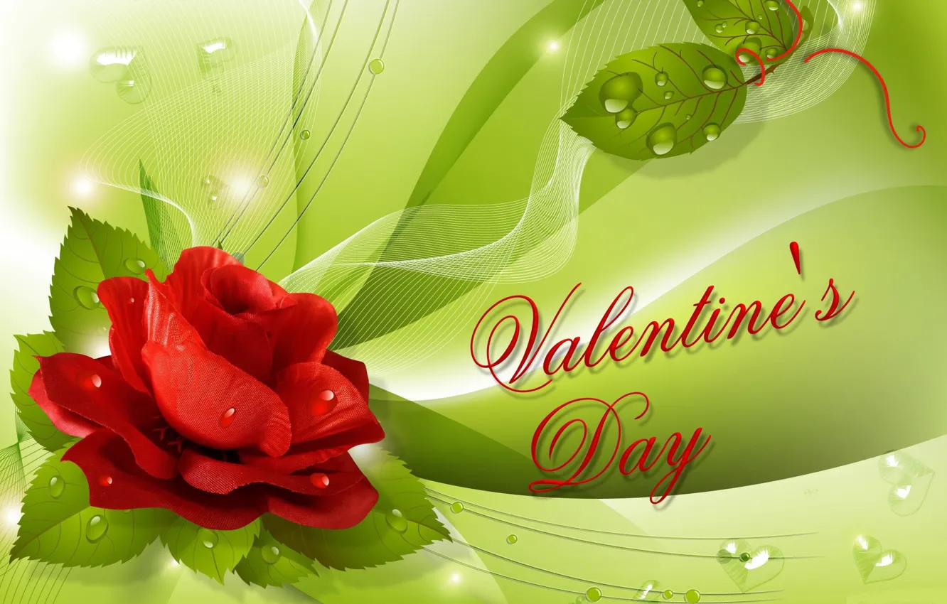 Wallpaper roses, Valentine's day, green background for mobile and ...