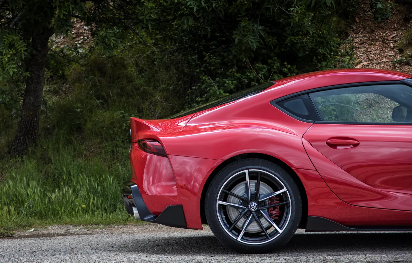 Wallpaper coupe, plants, spoiler, Toyota, Supra, the rear part, the ...