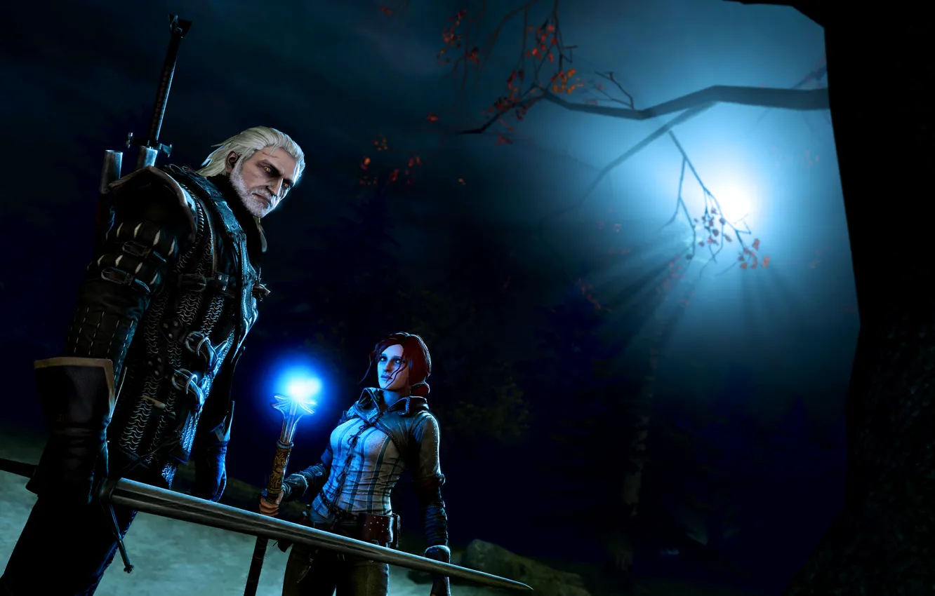 Wallpaper night, rendering, The Witcher, witcher, geralt, Triss ...