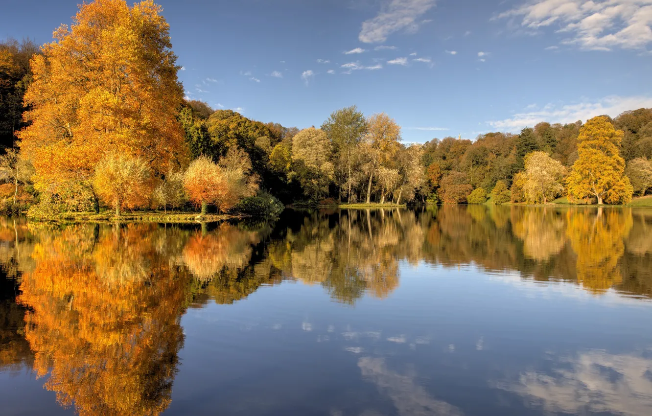 Wallpaper autumn, forest, lake for mobile and desktop, section природа ...