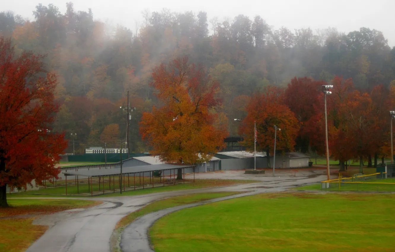 Wallpaper Road Fog Autumn Trees Rain Fall Autumn Rain For Mobile And Desktop Section