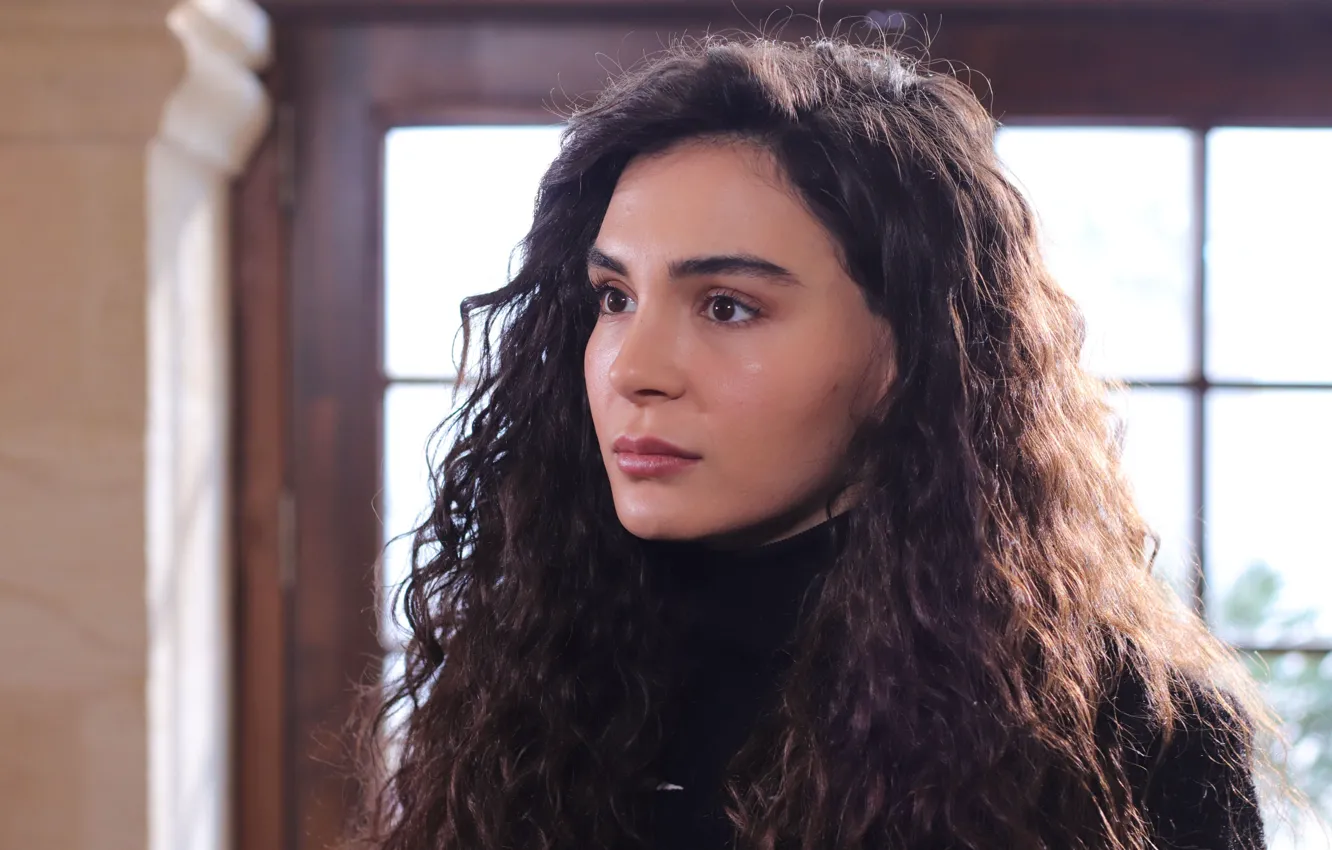 Wallpaper the series, curly, Rayyan, Pansy, Ebru Shaheen, "Windy" for ...
