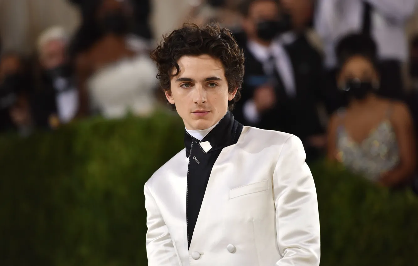 Wallpaper look, costume, actor, in white, photo session, Timothy Salame ...