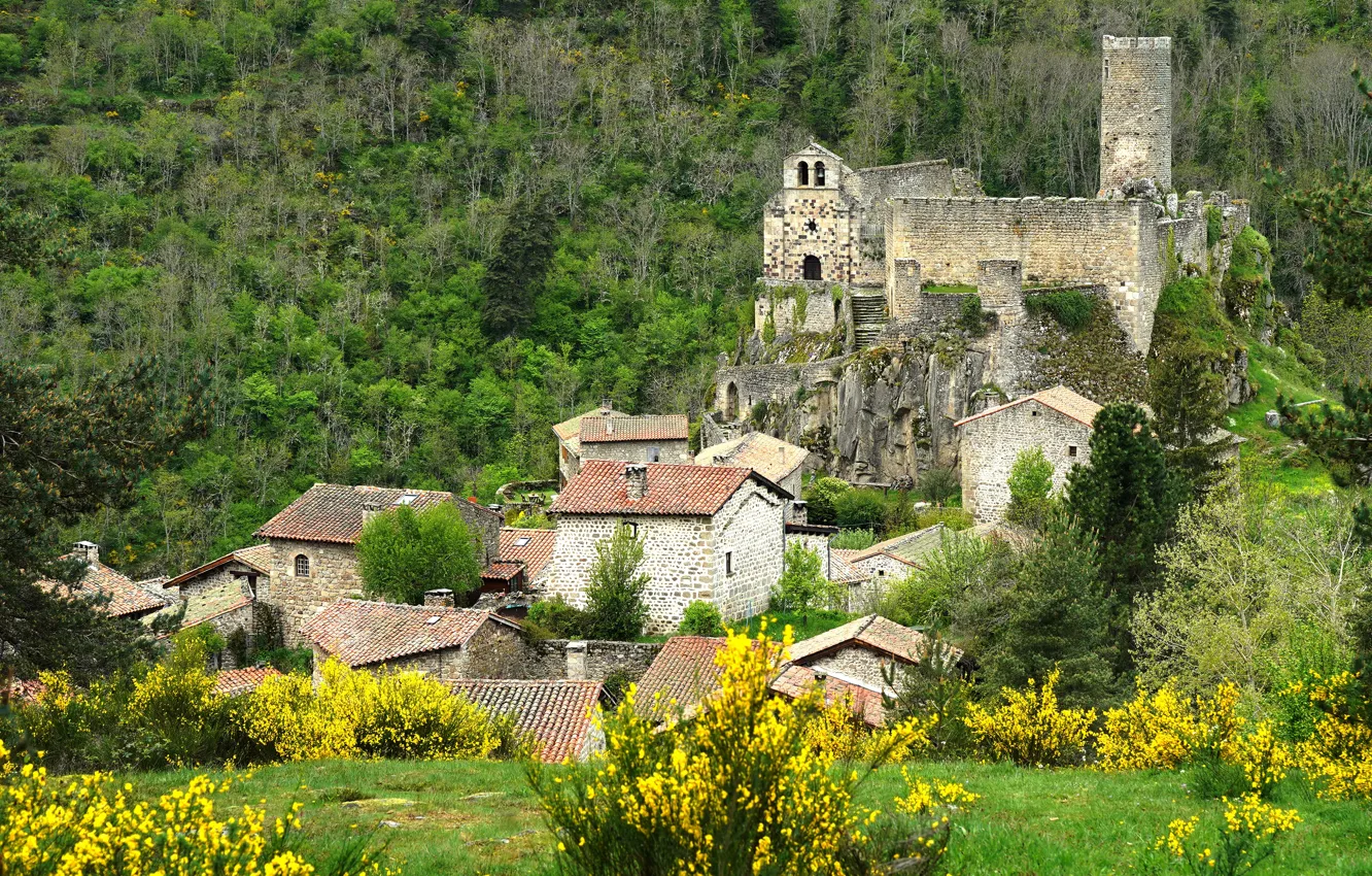 Wallpaper greens, forest, nature, castle, spring, slope, architecture ...