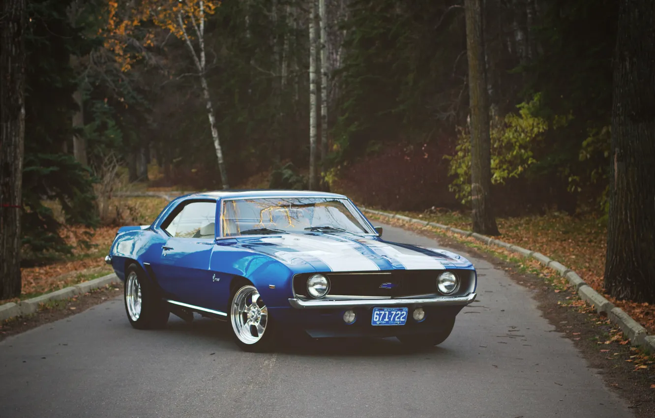 Wallpaper road, autumn, forest, leaves, lights, Chevrolet, wheel ...