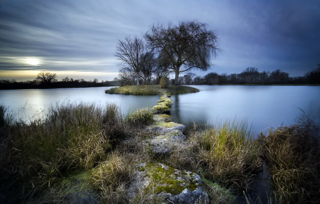 Wallpaper trees, nature, lake for mobile and desktop, section природа ...
