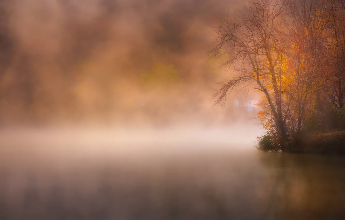 Wallpaper autumn, fog, lake, Park images for desktop, section природа ...