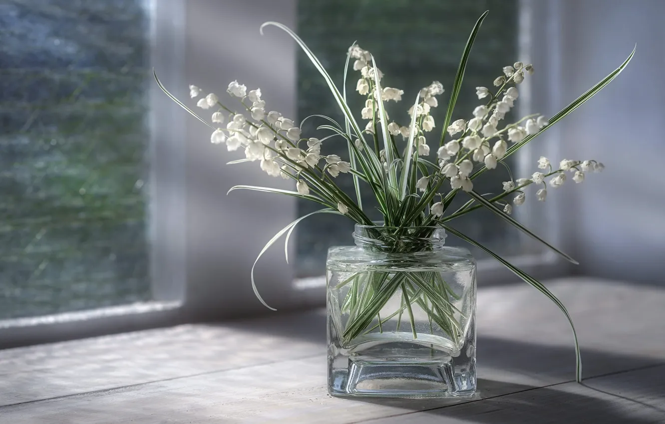 Wallpaper light, flowers, bouquet, spring, window, sill, white, still ...