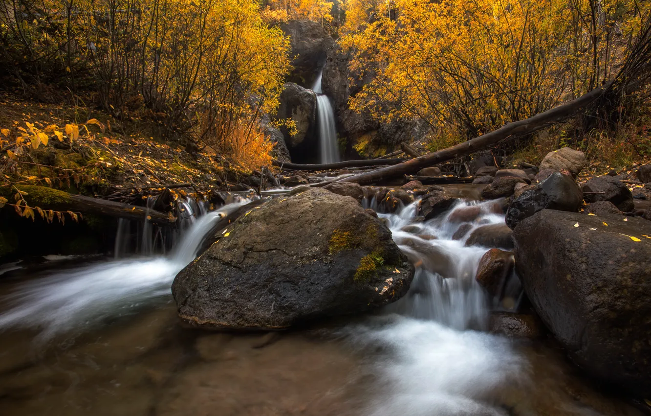 Wallpaper autumn, forest, branches, stones, waterfall, log for mobile ...