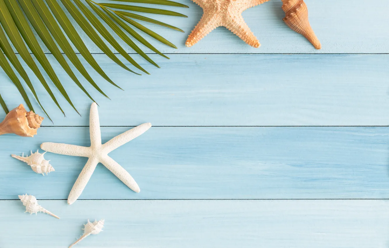 Wallpaper beach, summer, star, shell, summer, beach, starfish ...