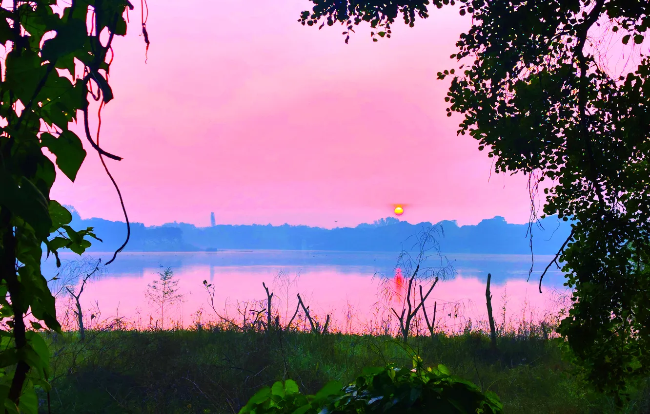 Wallpaper grass, sky, trees, water, lake, morning, bushes, sunrise for ...