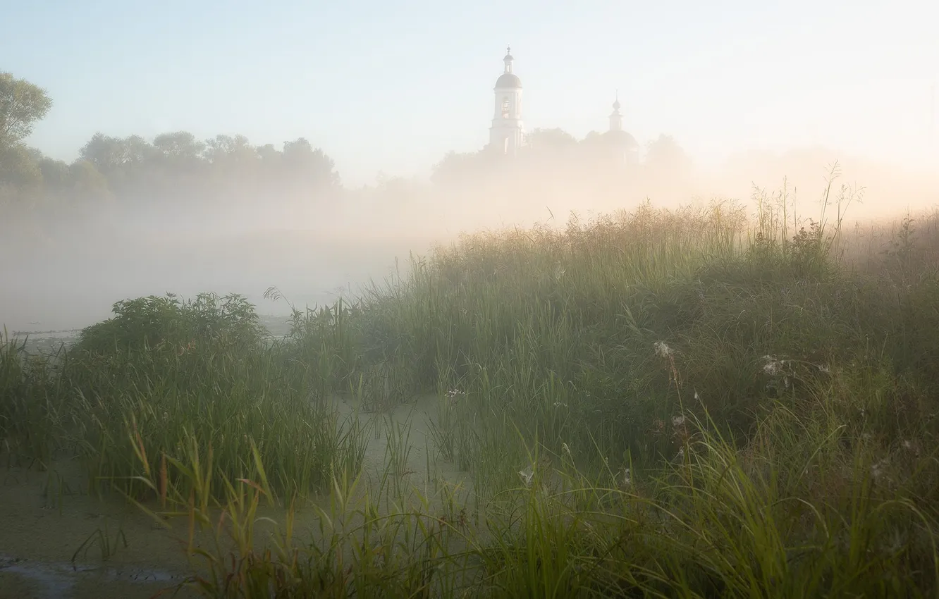 Wallpaper summer, dawn, Serna, Filippovskoe, Anastasia Chavykina for ...