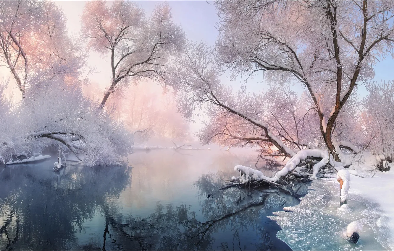 Wallpaper winter, frost, forest, snow, trees, nature, fog, lake for ...