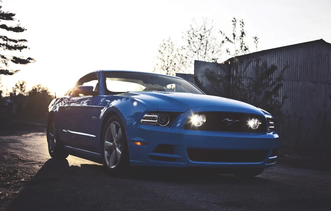 Wallpaper Mustang, Ford, Ford, Muscle, Mustang, Car, Blue, 5.0 for ...