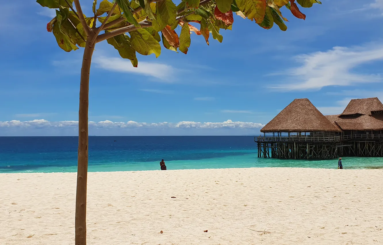Wallpaper beach, the sky, clouds, the ocean, stay, calm, Zanzibar ...