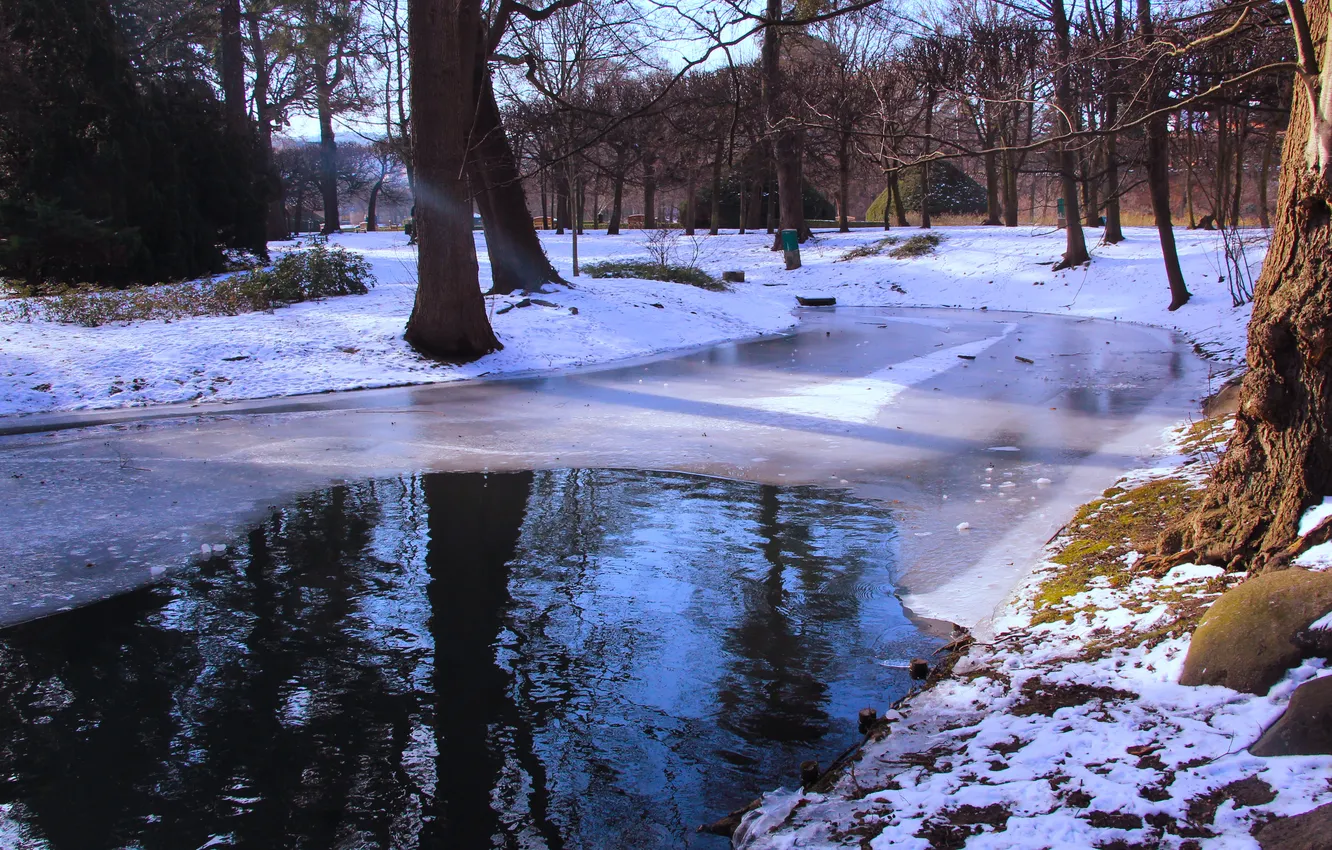 Wallpaper ice, park, winter, pond for mobile and desktop, section ...