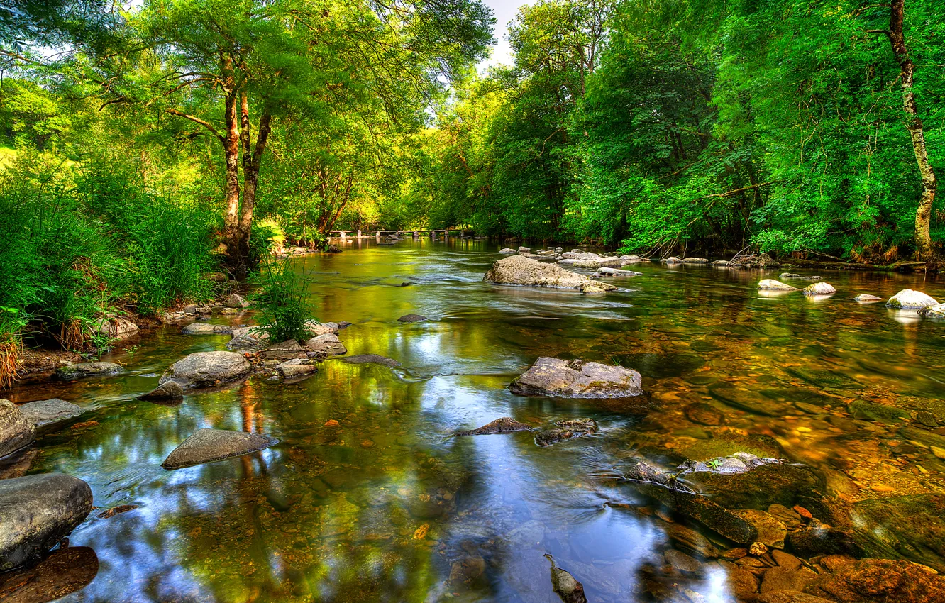 Wallpaper trees, lake, reflection, river, stones, Exmoor, Exmoor for ...
