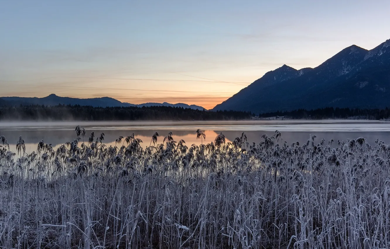 Wallpaper frost, lake, reed for mobile and desktop, section природа ...