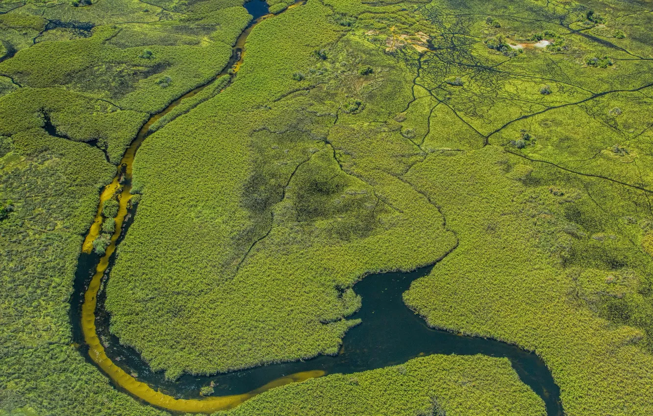 Wallpaper nature, river, swamp, plants, the view from the top for ...