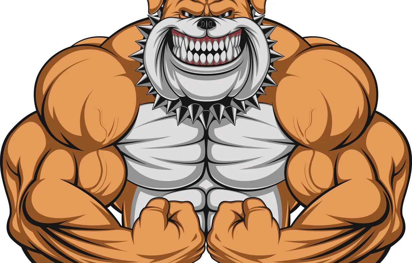 Wallpaper dog, art, bulldog, beast, muscle, dog, muscles, bodybuilder ...