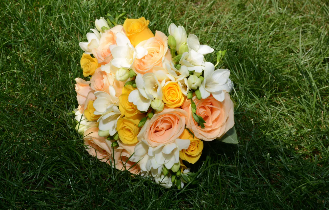 Wallpaper flowers, roses, bouquet, weed for mobile and desktop, section ...