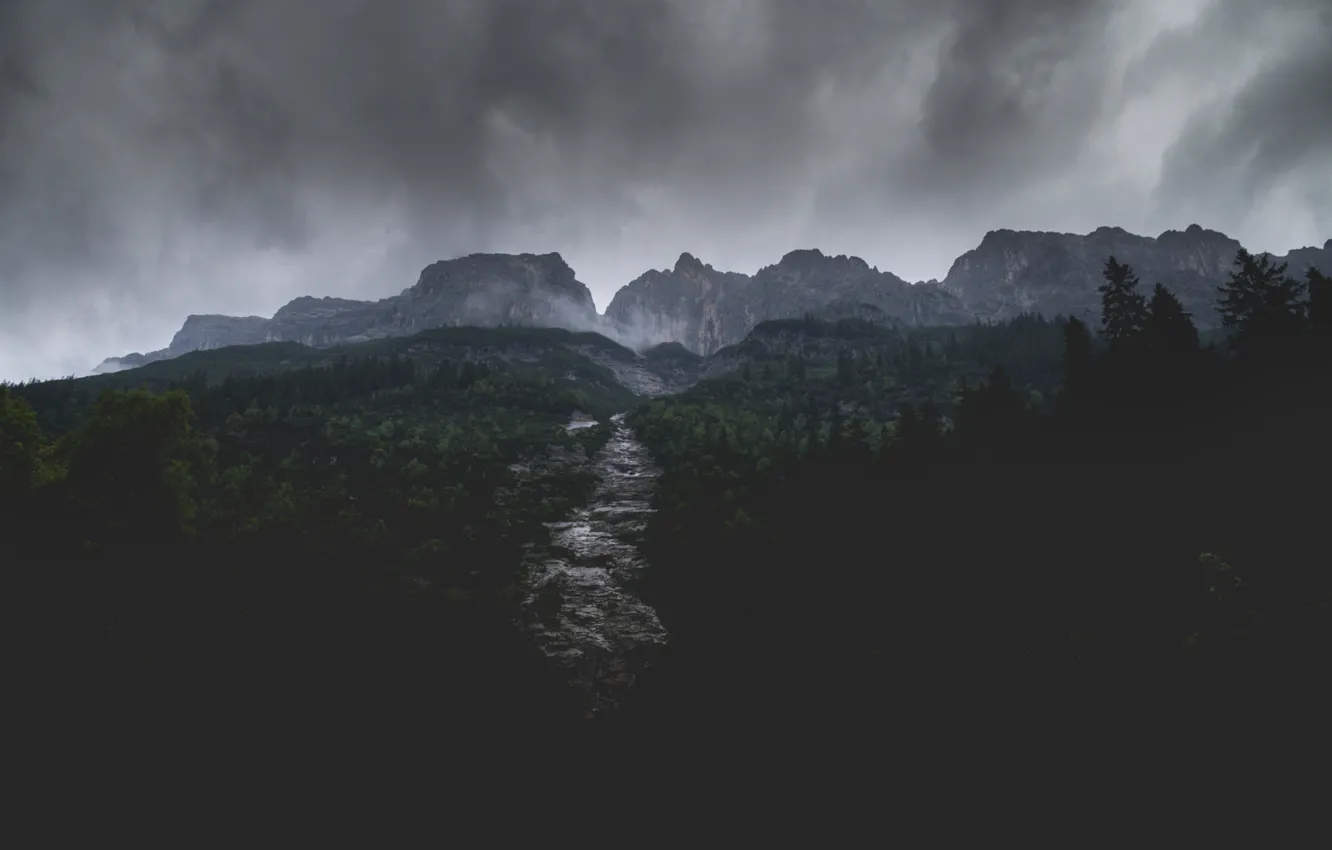 Wallpaper Dark, German, Nature, Clouds, Wood, Germany, Rain, Trees for ...