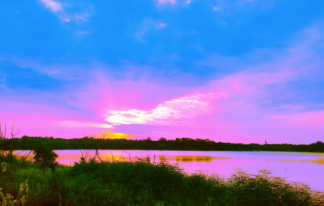 Wallpaper Sky, Sun, Water, Sunrise, Dawn, Morning, Lake, Trees for ...