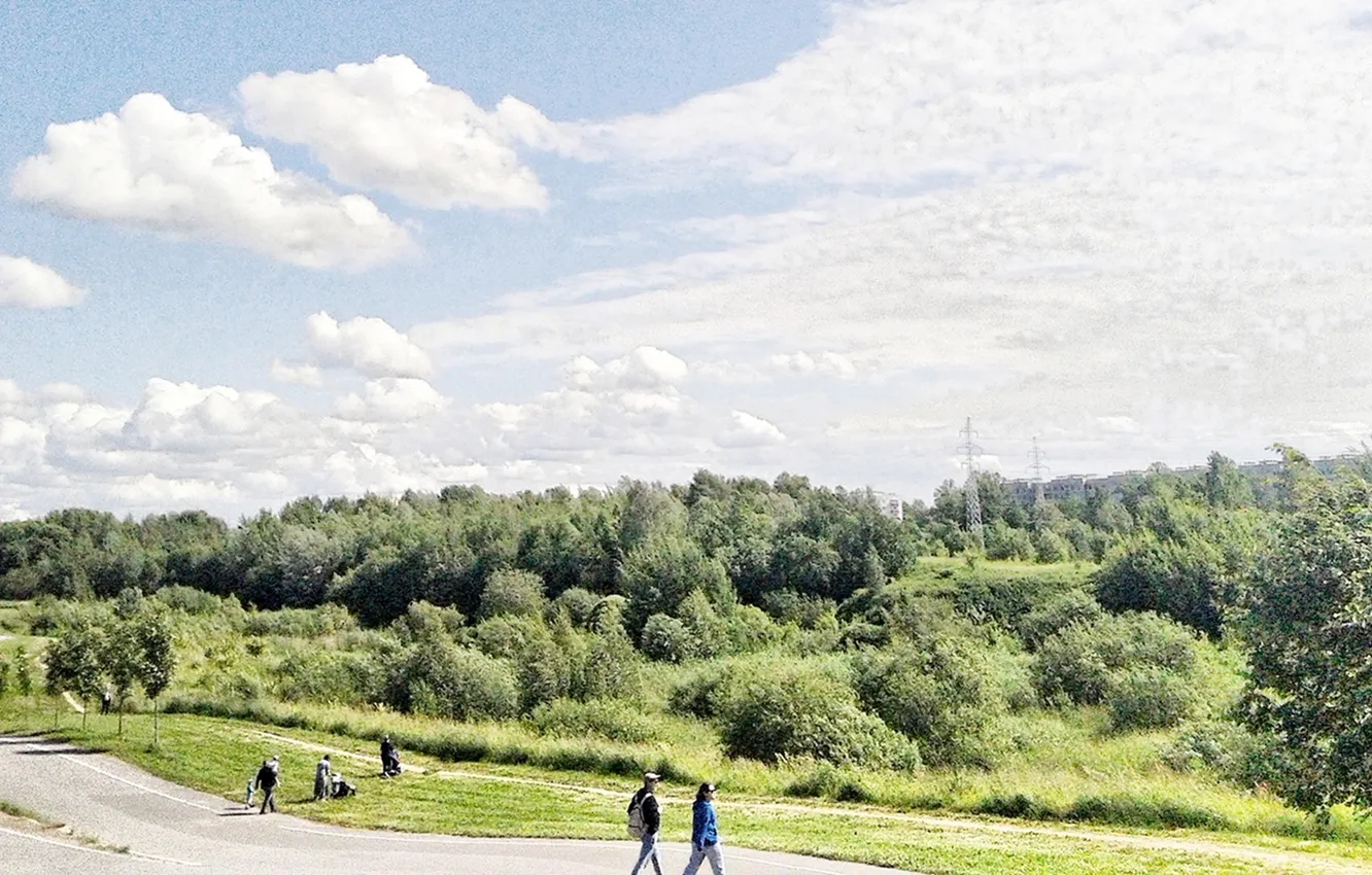 Wallpaper summer, landscape, July 2025 for mobile and desktop, section ...