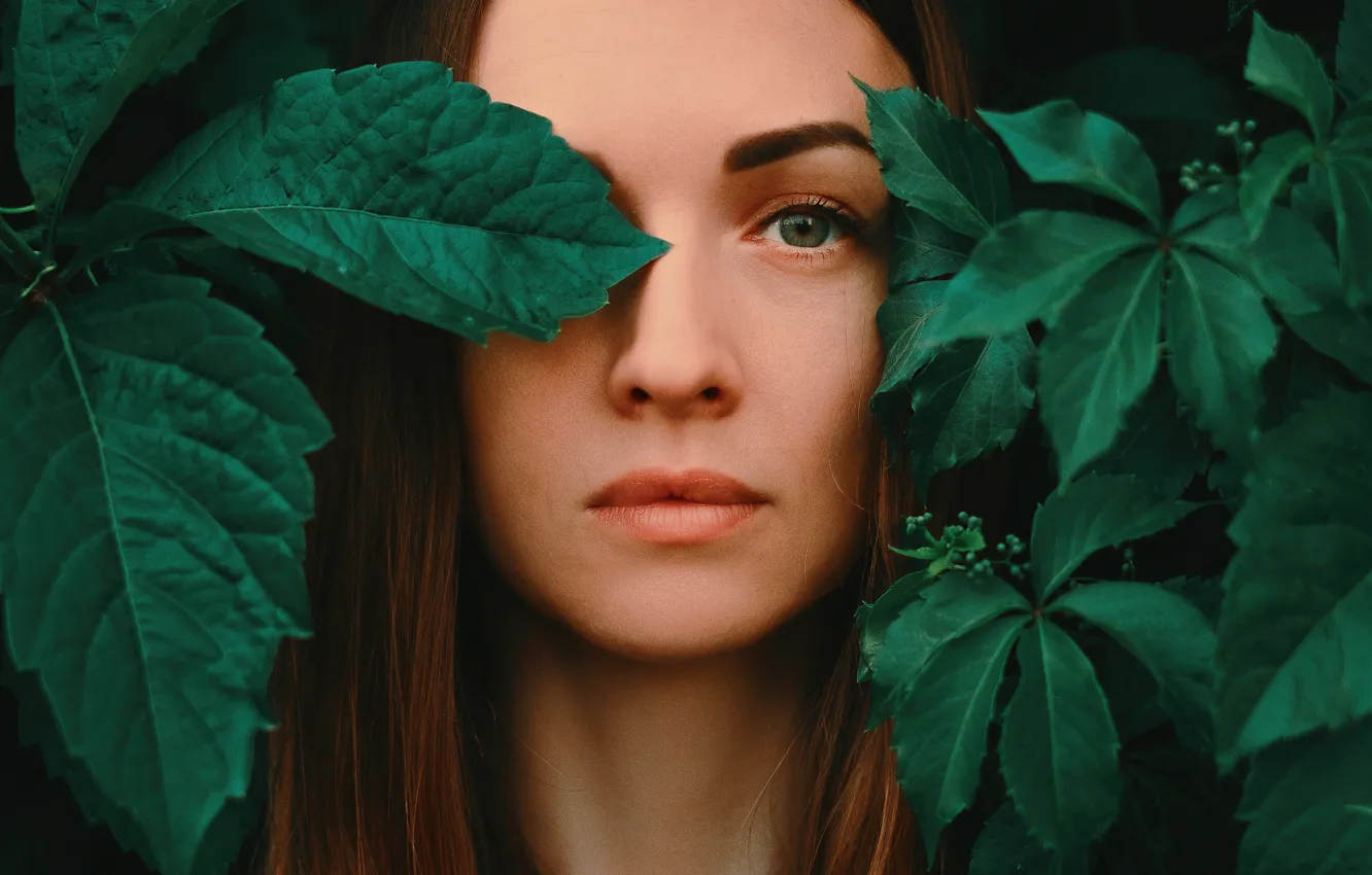 Wallpaper look, leaves, girl, face for mobile and desktop, section ...