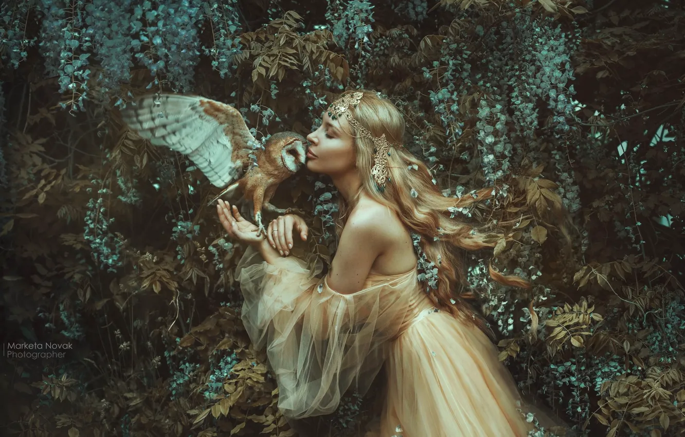 Wallpaper girl, owl, bird, dress, blonde, Princess, long hair, the barn ...