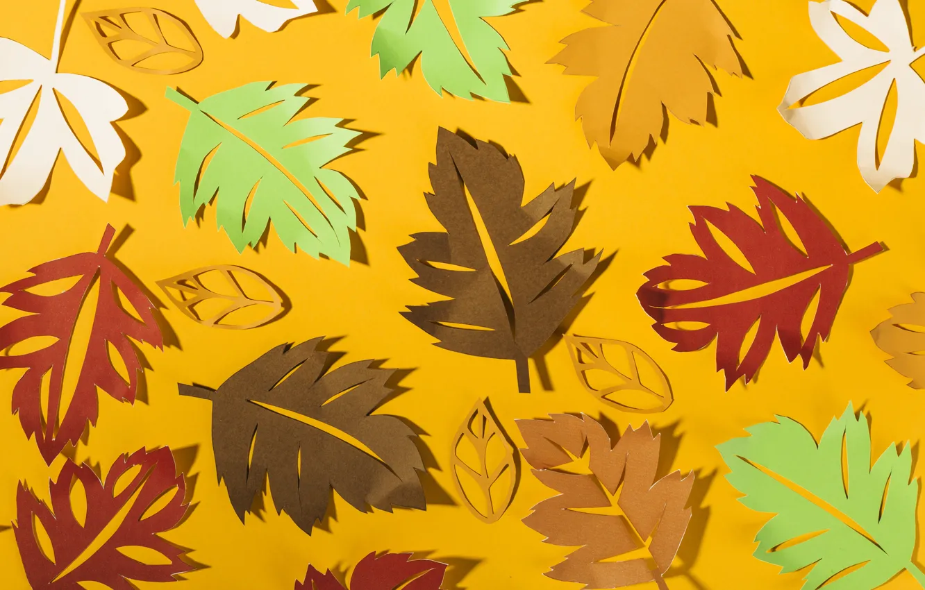 Wallpaper Autumn Leaves Background Colorful Background Autumn