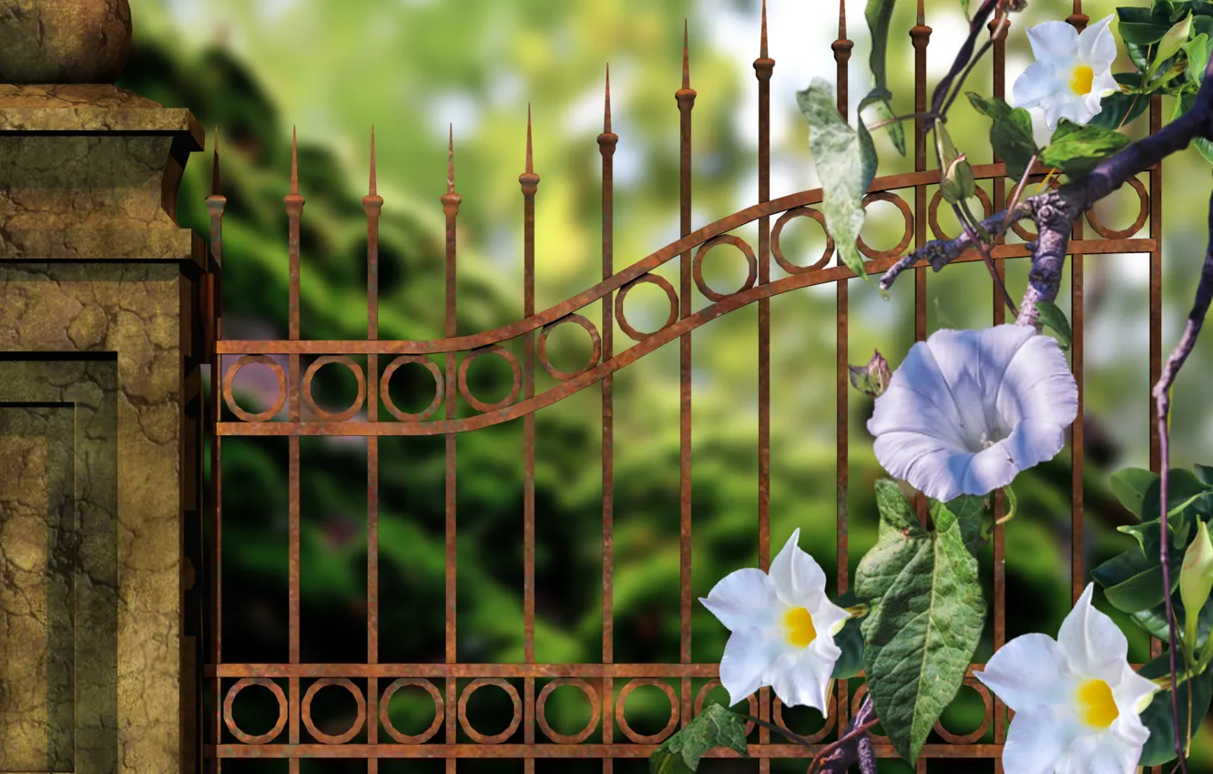 Wallpaper flowers, garden, scene, bunch of wild flower for mobile and ...