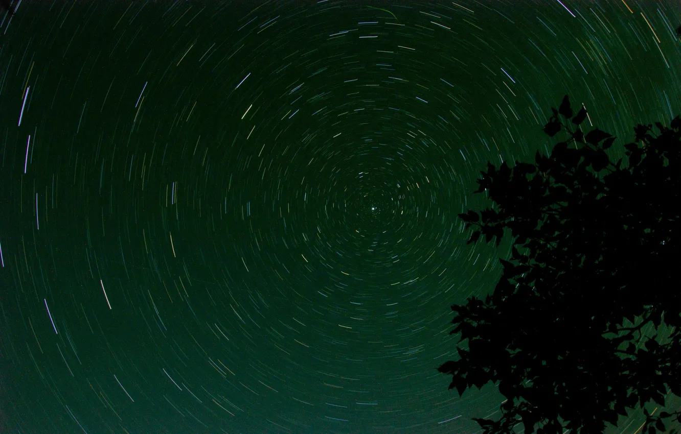 Wallpaper green, nature, night, pattern, stars, tree, volume, branch ...