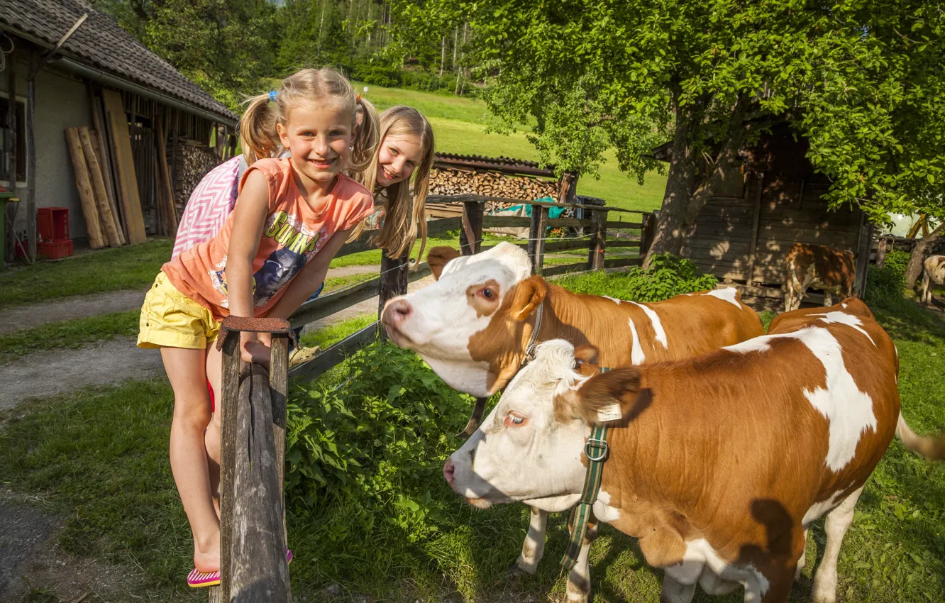Wallpaper Nature, Austria, Children, Farm, Girls, Stay, Cows, Austria ...