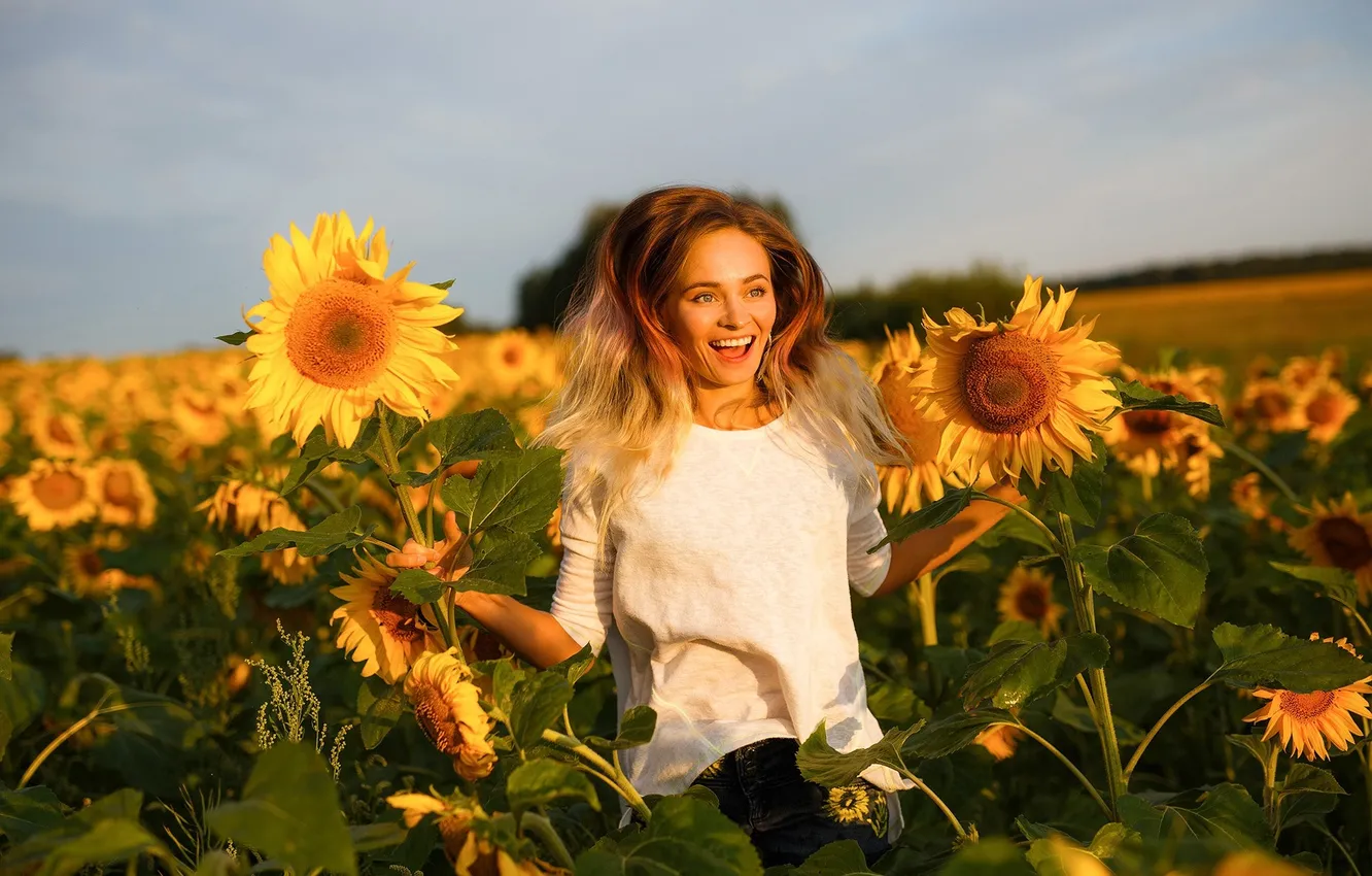 Wallpaper summer, girl, sunflowers for mobile and desktop, section ...