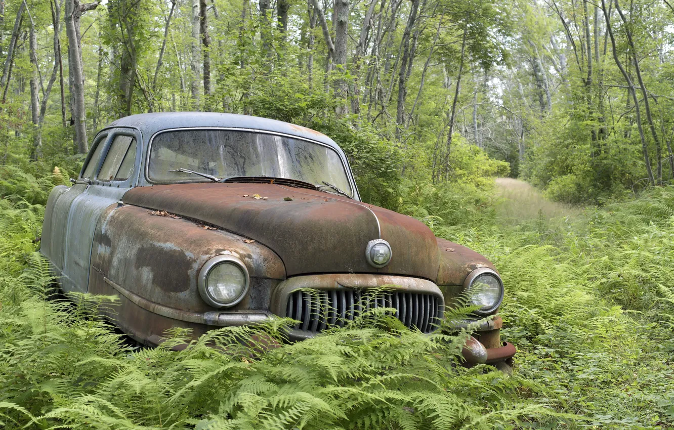 Wallpaper machine, forest, scrap for mobile and desktop, section другие ...