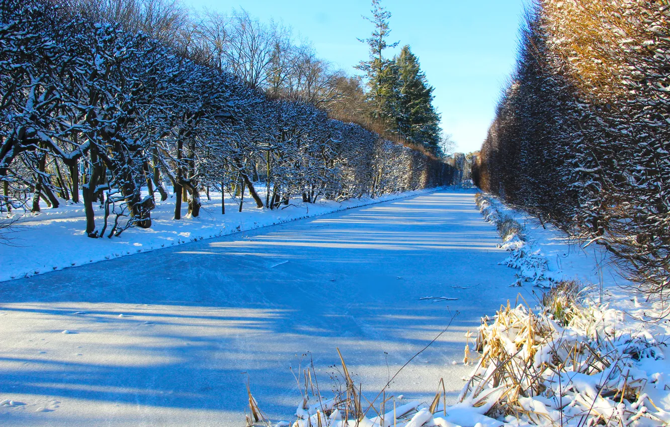 Wallpaper ice, park, winter, pond for mobile and desktop, section ...