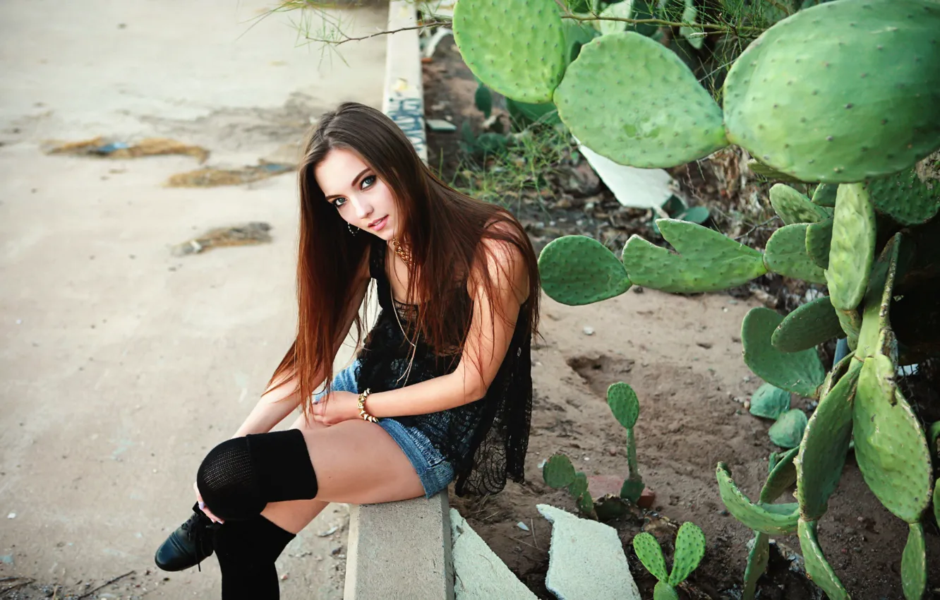 Wallpaper Girl Shorts Long Hair Legs Brown Hair Photo Blue Eyes