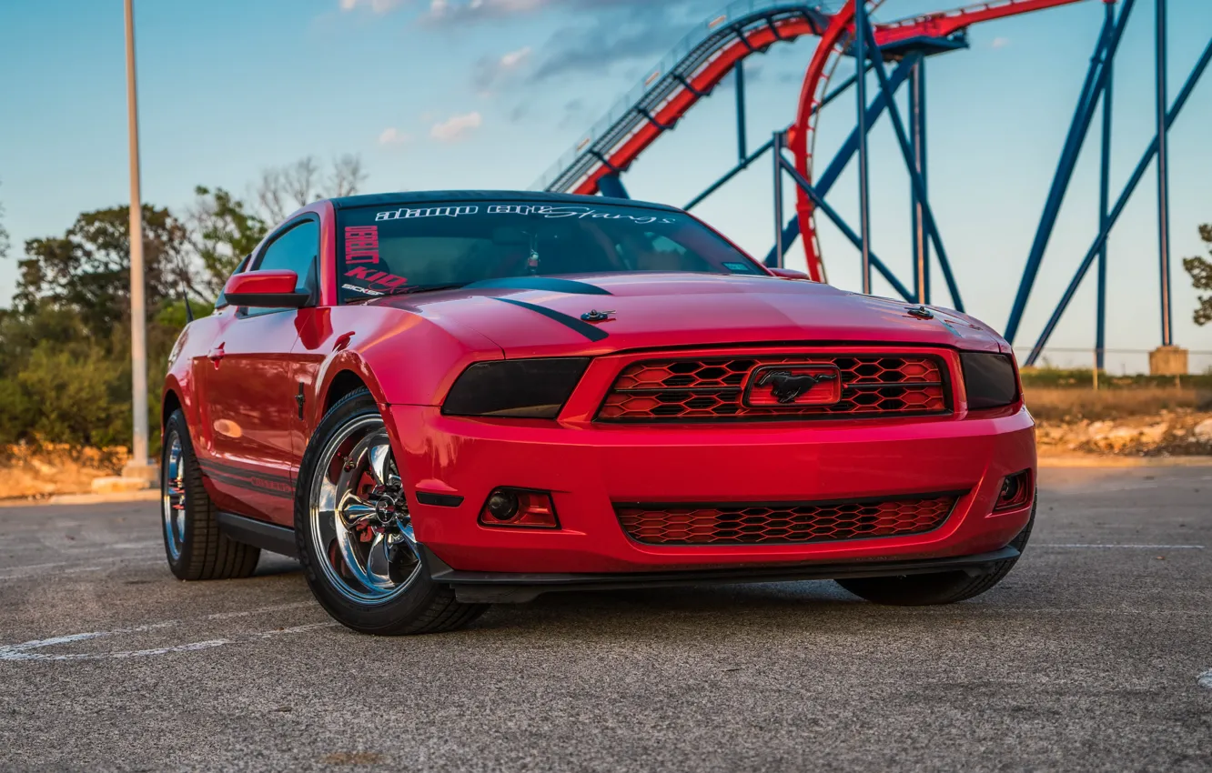 Wallpaper Mustang, Ford, The, Kid for mobile and desktop, section ford ...