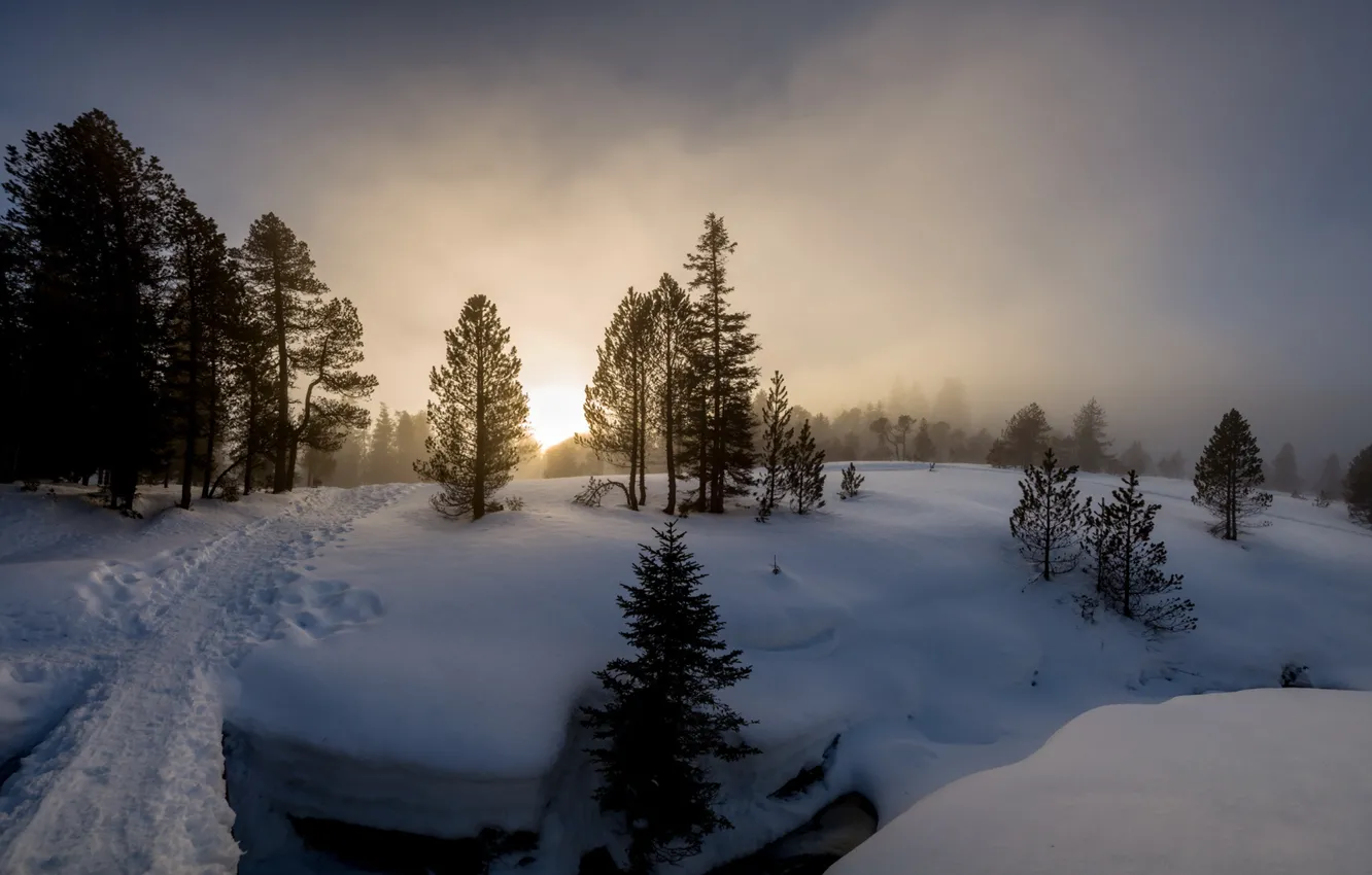 Wallpaper winter, snow, morning images for desktop, section природа ...