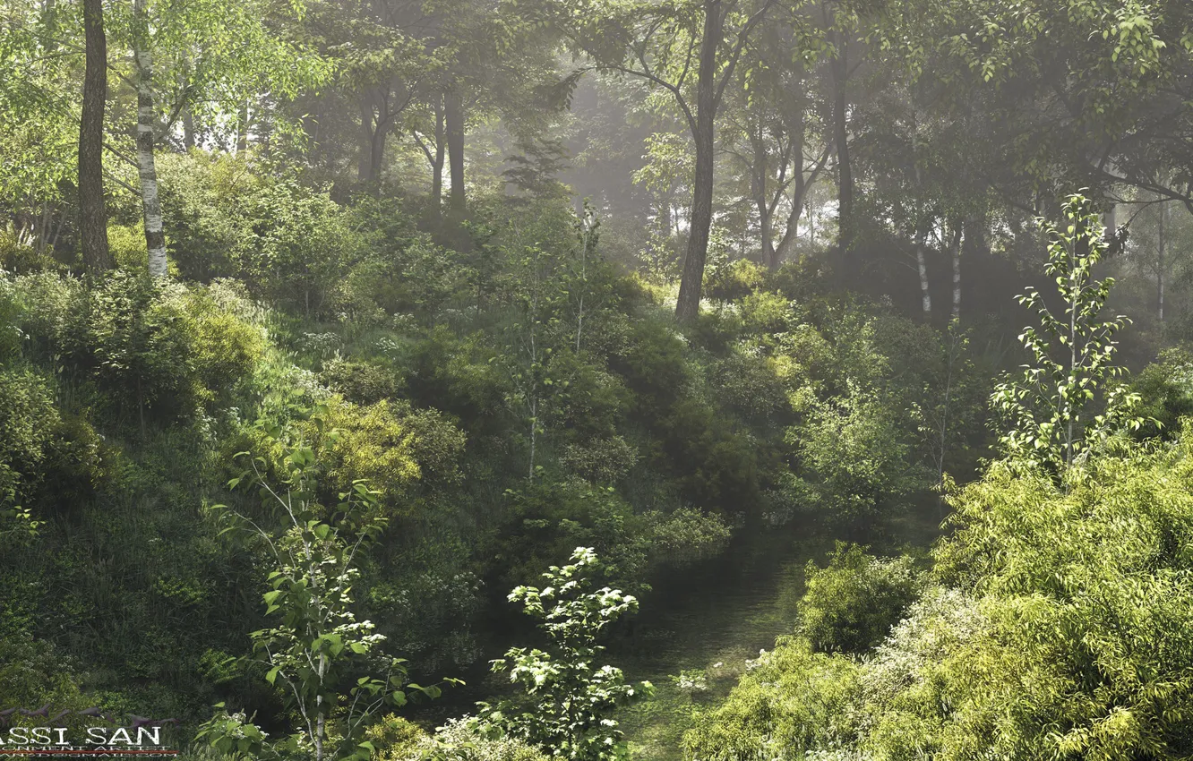 Wallpaper forest, nature, river, vegetation, Dutch polder for mobile ...
