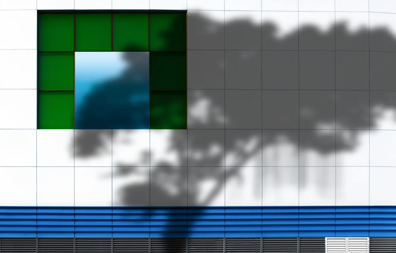 Wallpaper trees, wall, tile, shadow, wall, wood, shadow, tiles for ...