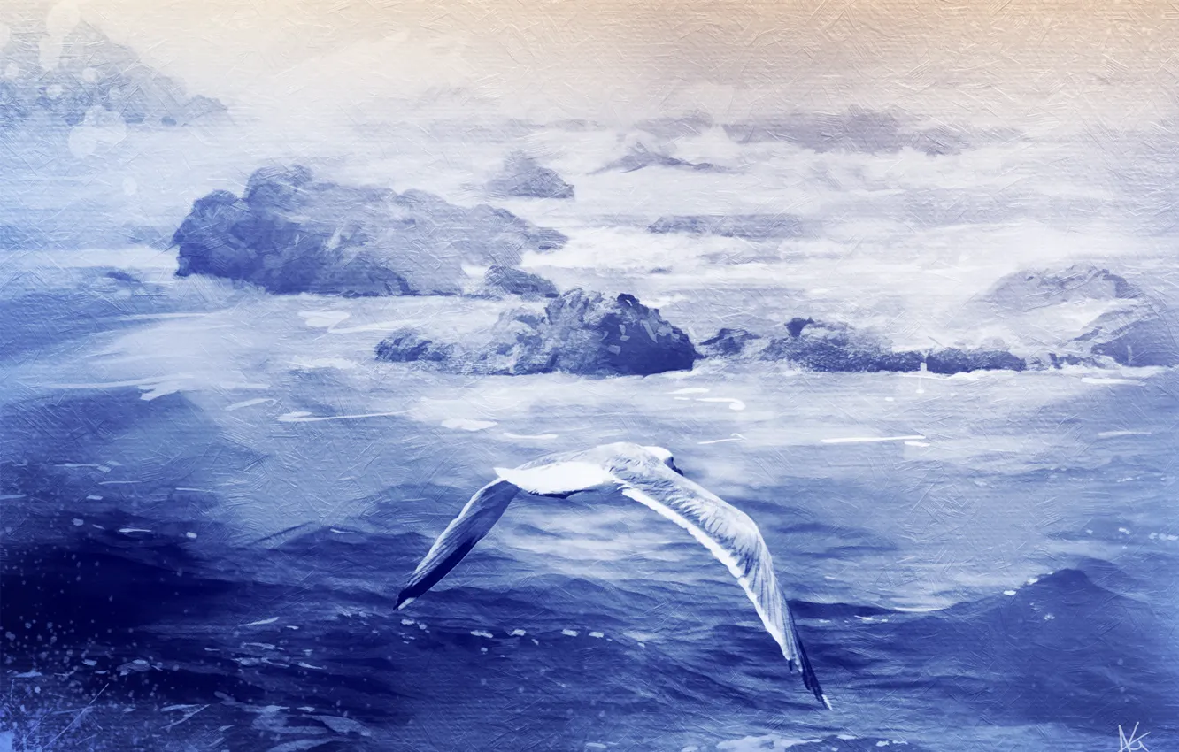 Wallpaper sea, stones, bird, texture, Seagull images for desktop ...