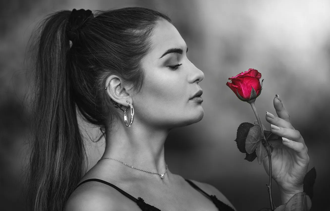 Wallpaper look, girl, pose, rose, brunette, tail, profile, red for ...