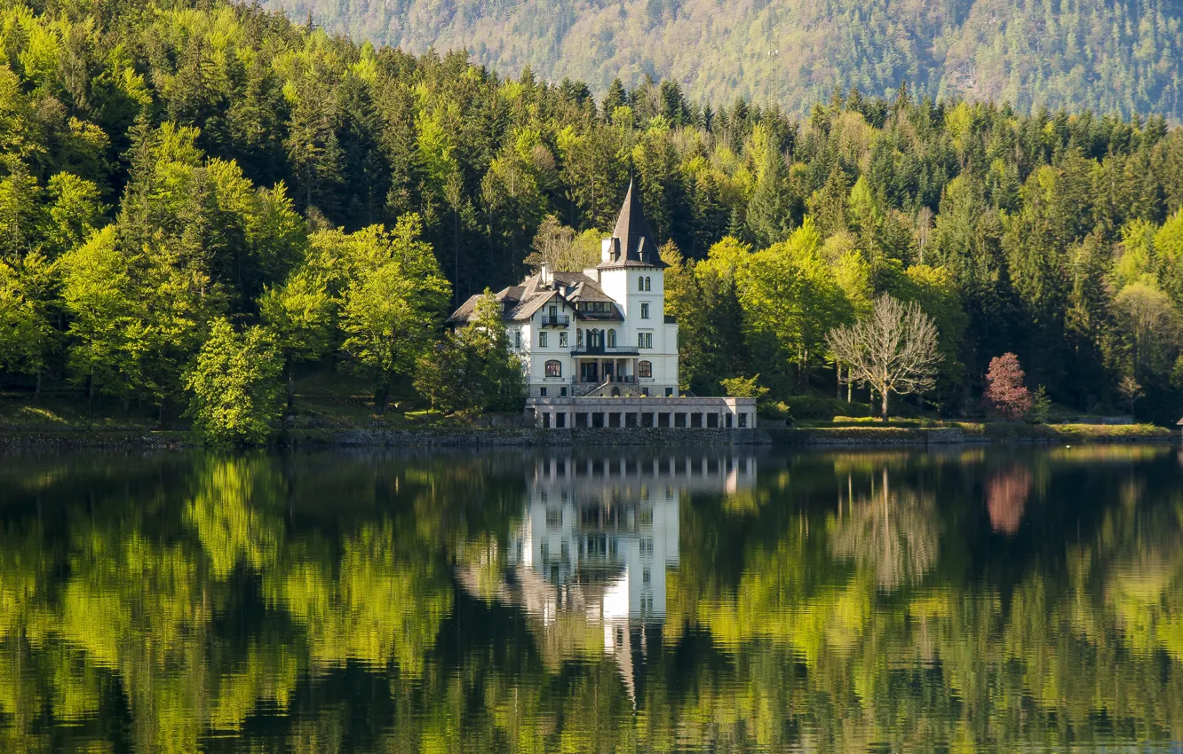 Wallpaper forest, lake, reflection, castle, mansion for mobile and ...
