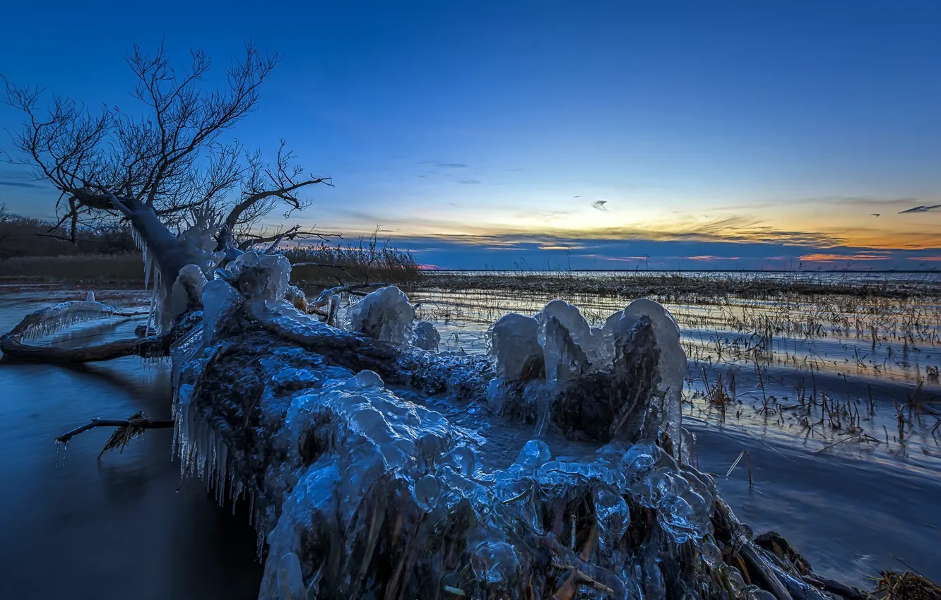 Wallpaper ice, trees, night, shore for mobile and desktop, section ...