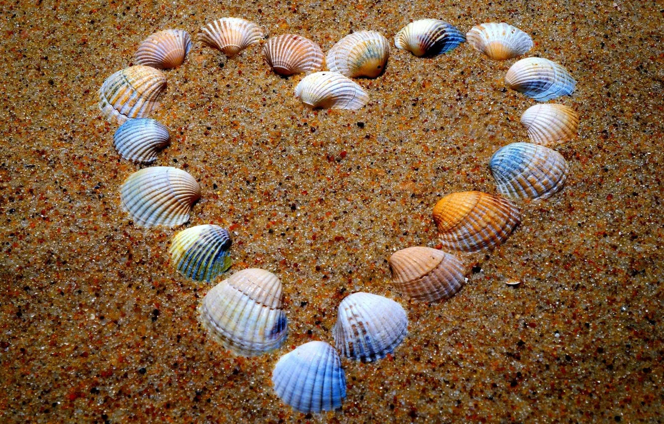 Wallpaper heart, sand, shells for mobile and desktop, section природа ...