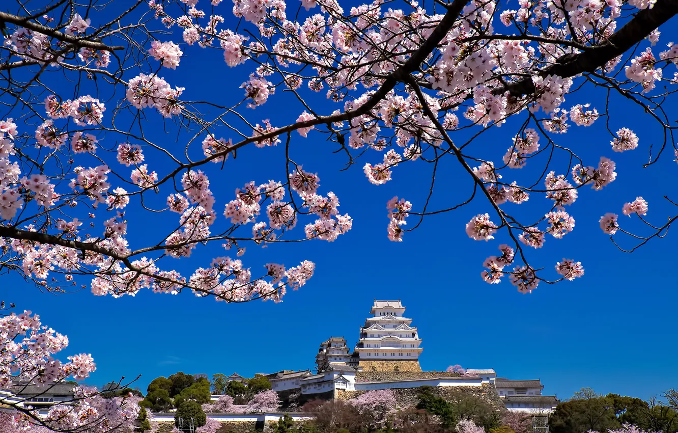 Wallpaper the sky, spring, Japan, Sakura, temple for mobile and desktop ...