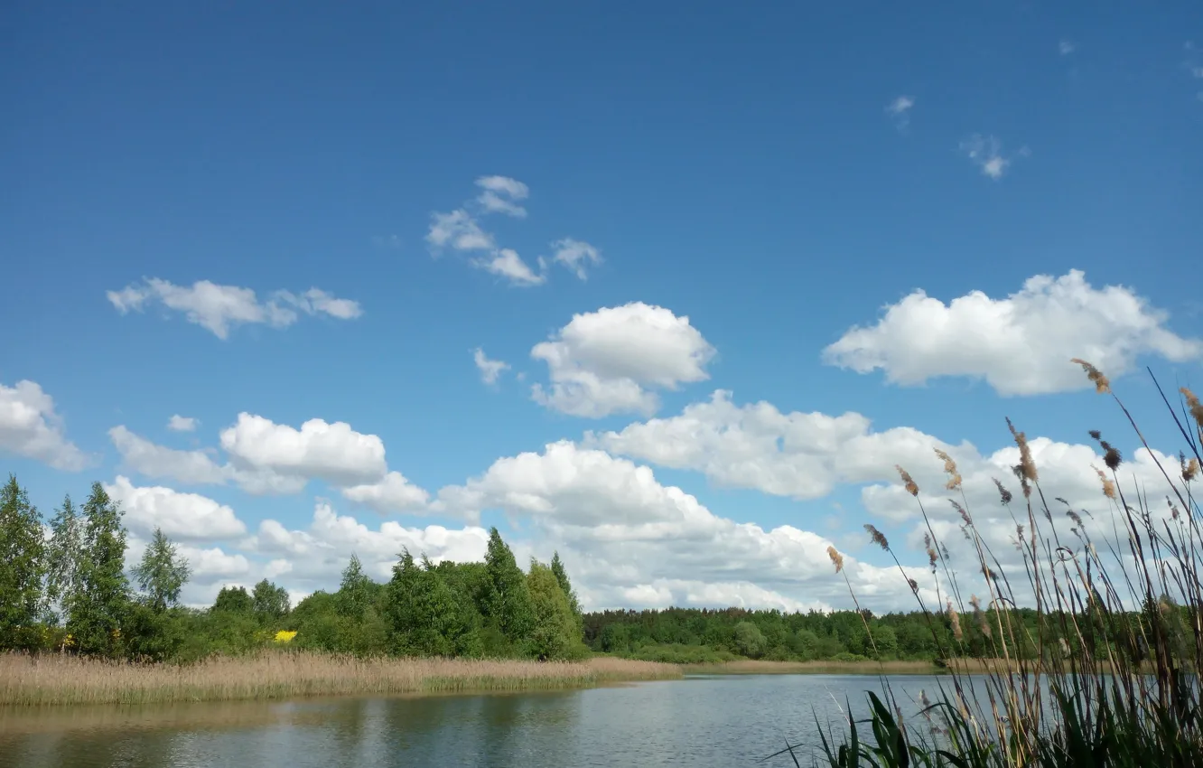 Wallpaper wave, forest, the sky, clouds, lake for mobile and desktop ...